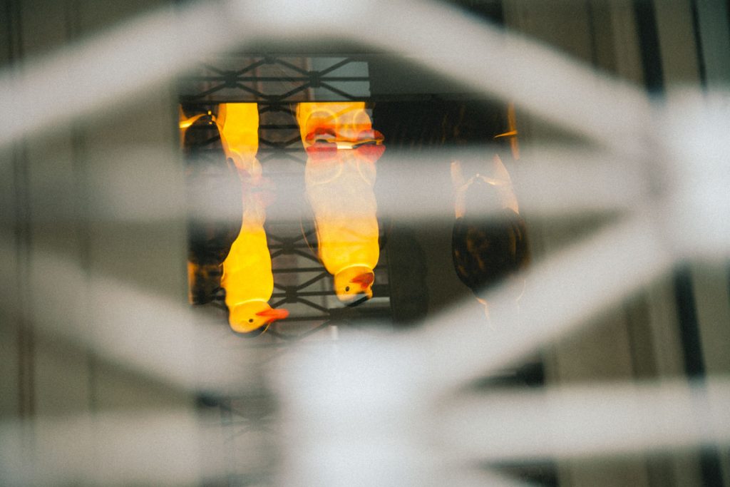 How to Take Photos Like Saul Leiter - Paul Pope