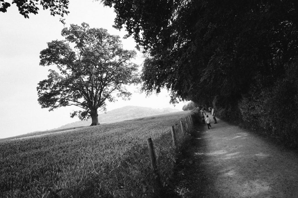 How to Use VueScan to Scan Film Like a Professional Lab - Paul Pope ...